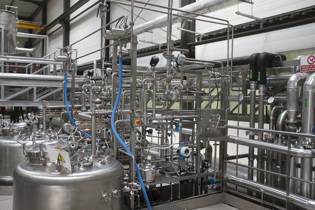 Expertise - Eléphant Vert