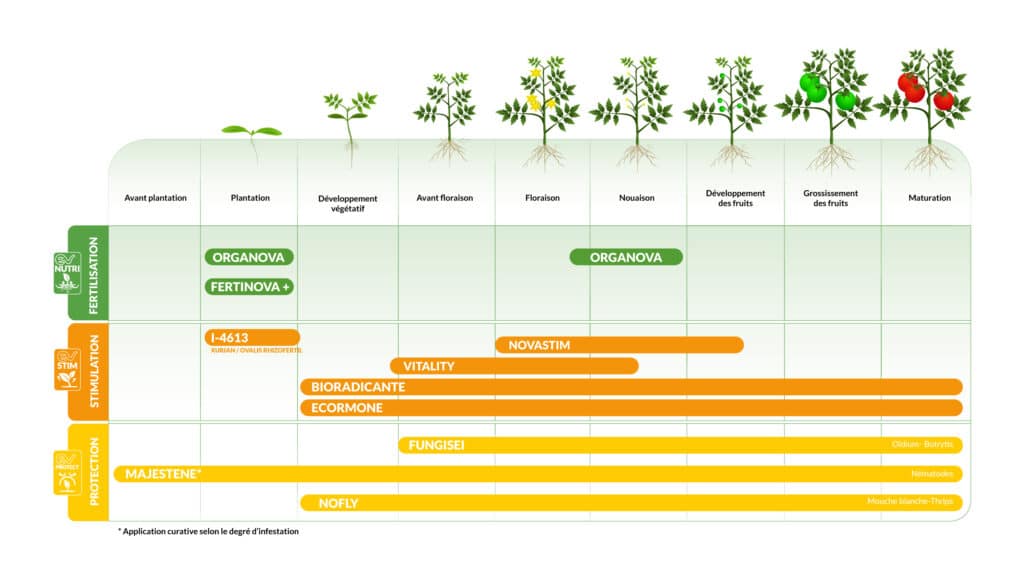 Maraîchage - Eléphant Vert