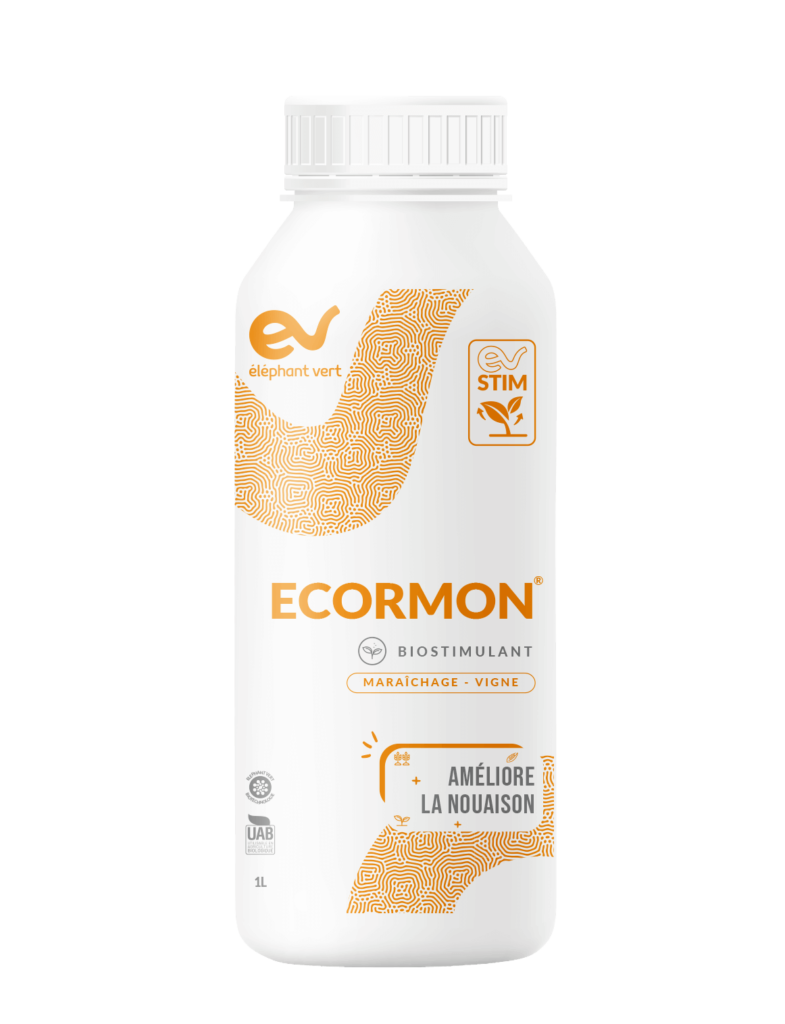 ECORMON - Eléphant Vert