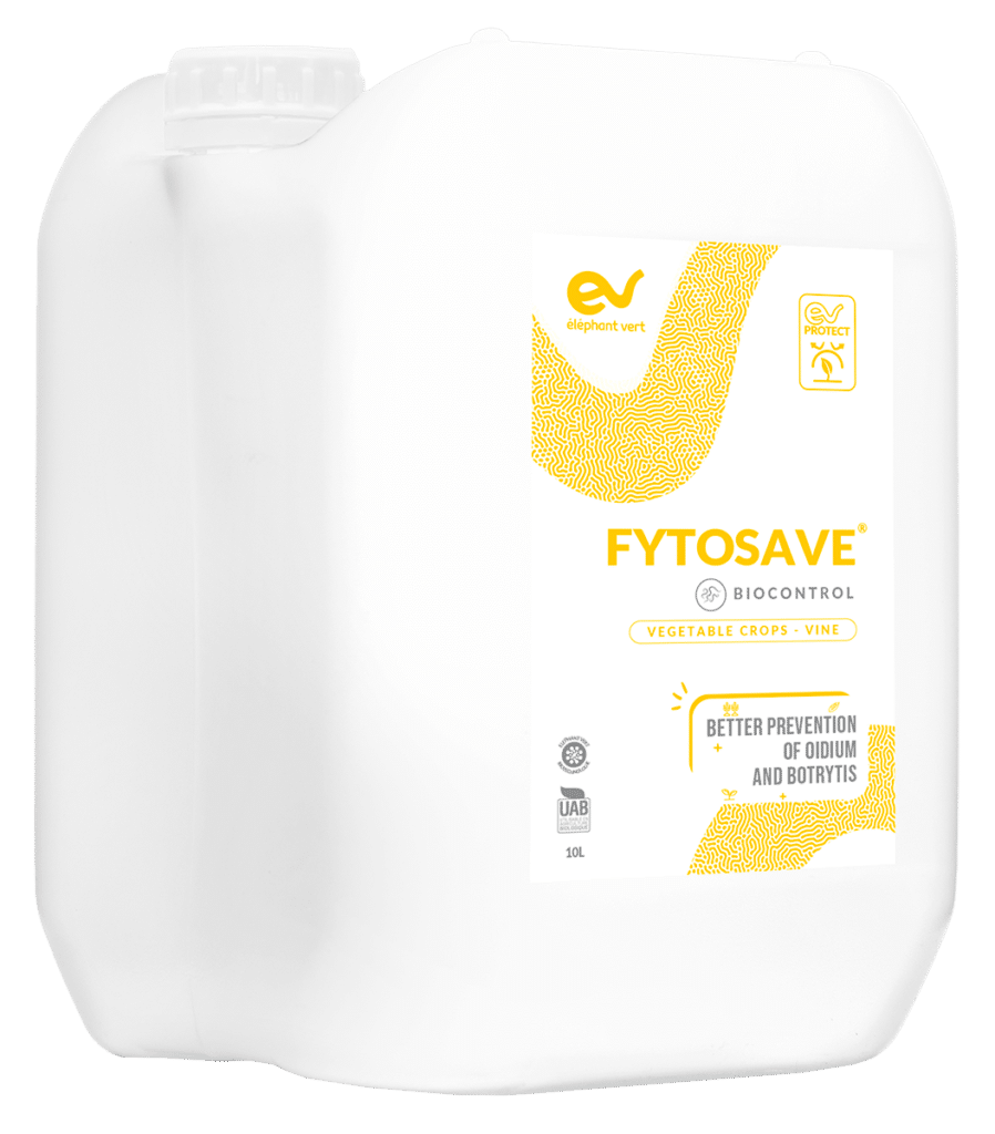 FYTOSAVE - Eléphant Vert