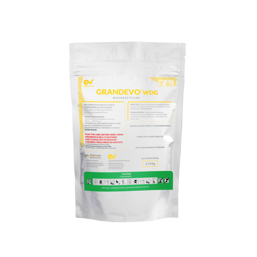 GRANDEVO - Eléphant Vert