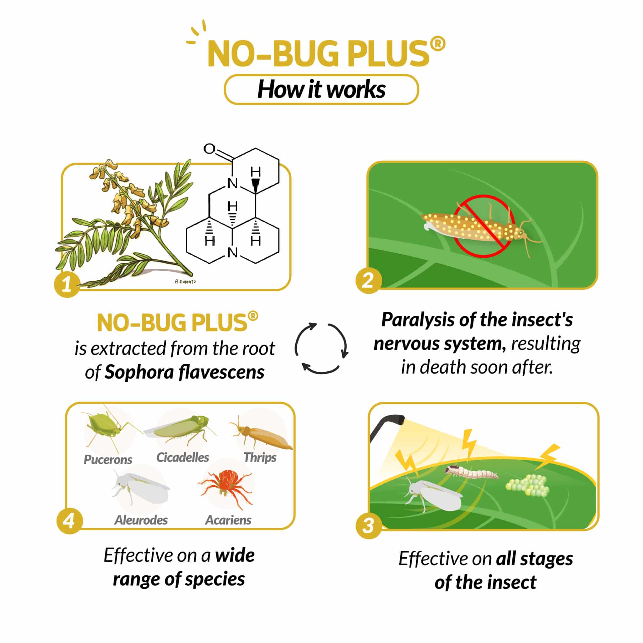NO-BUG PLUS - Eléphant Vert