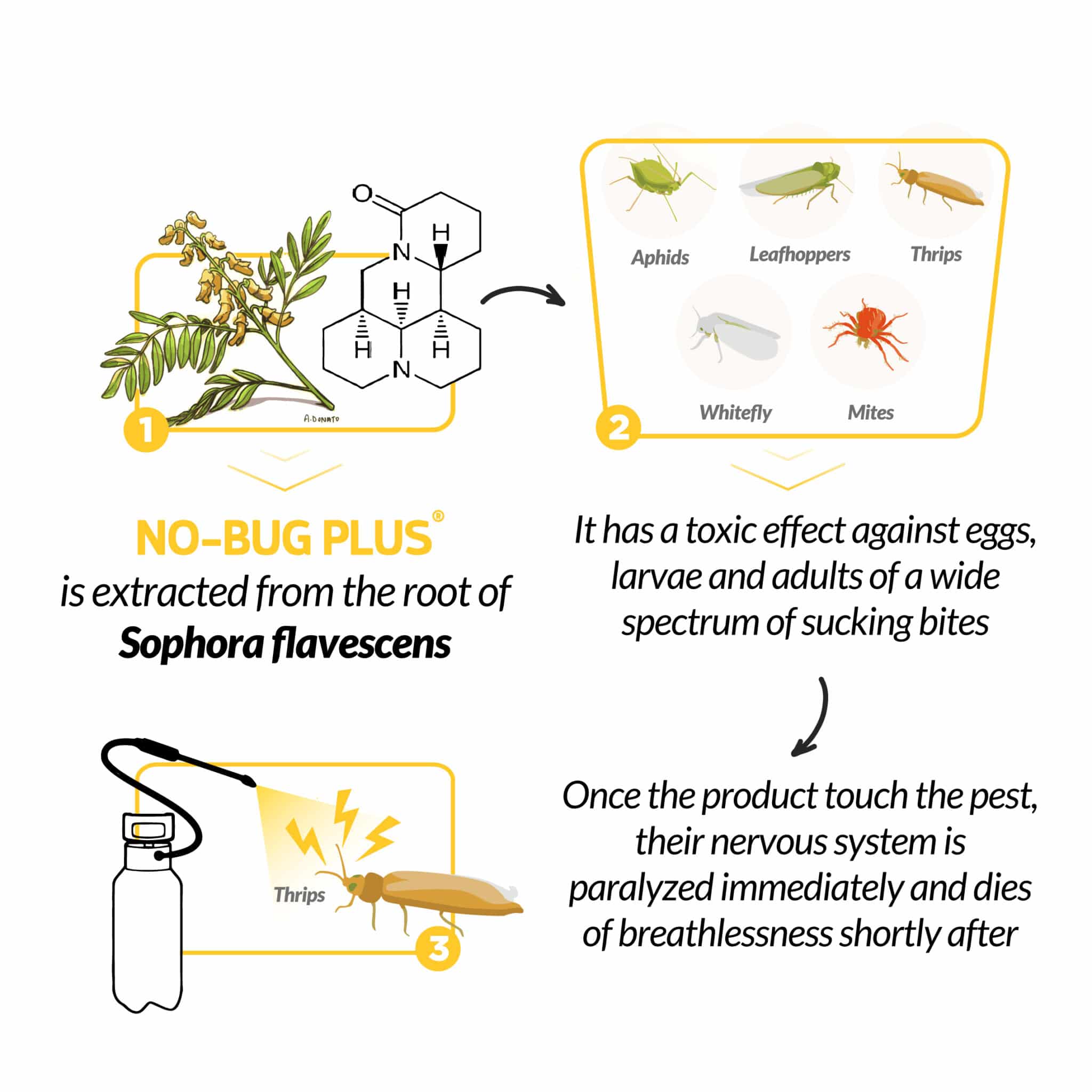 NO-BUG PLUS - Eléphant Vert