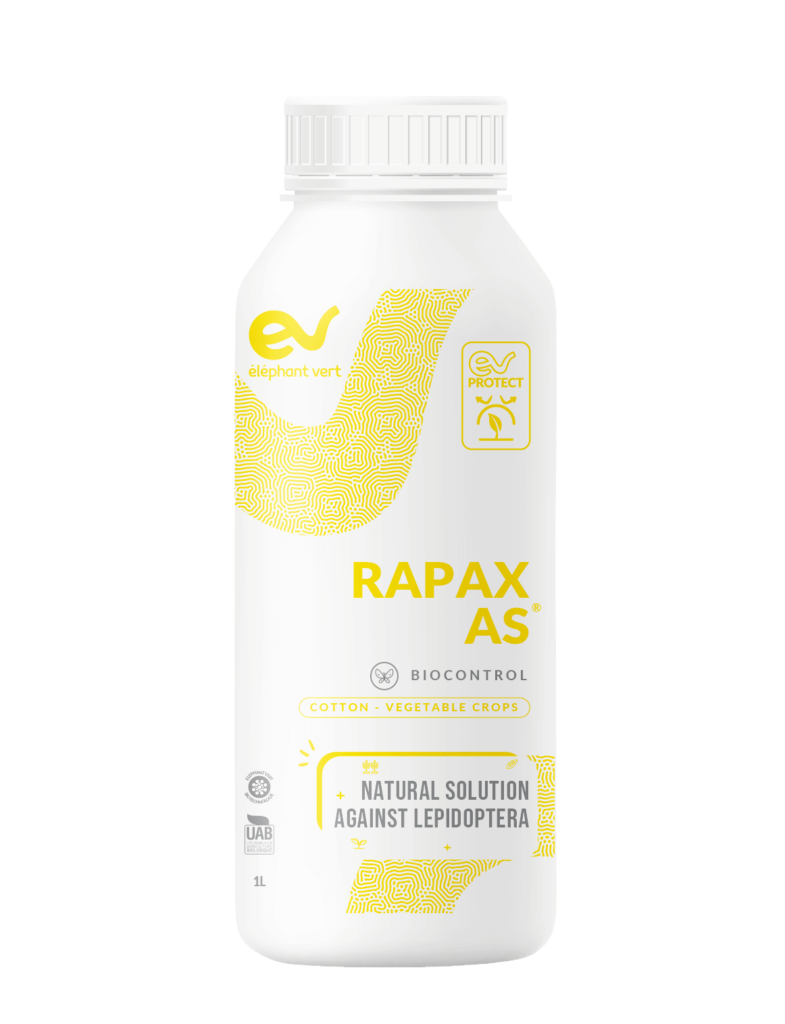 RAPAX AS - Eléphant Vert