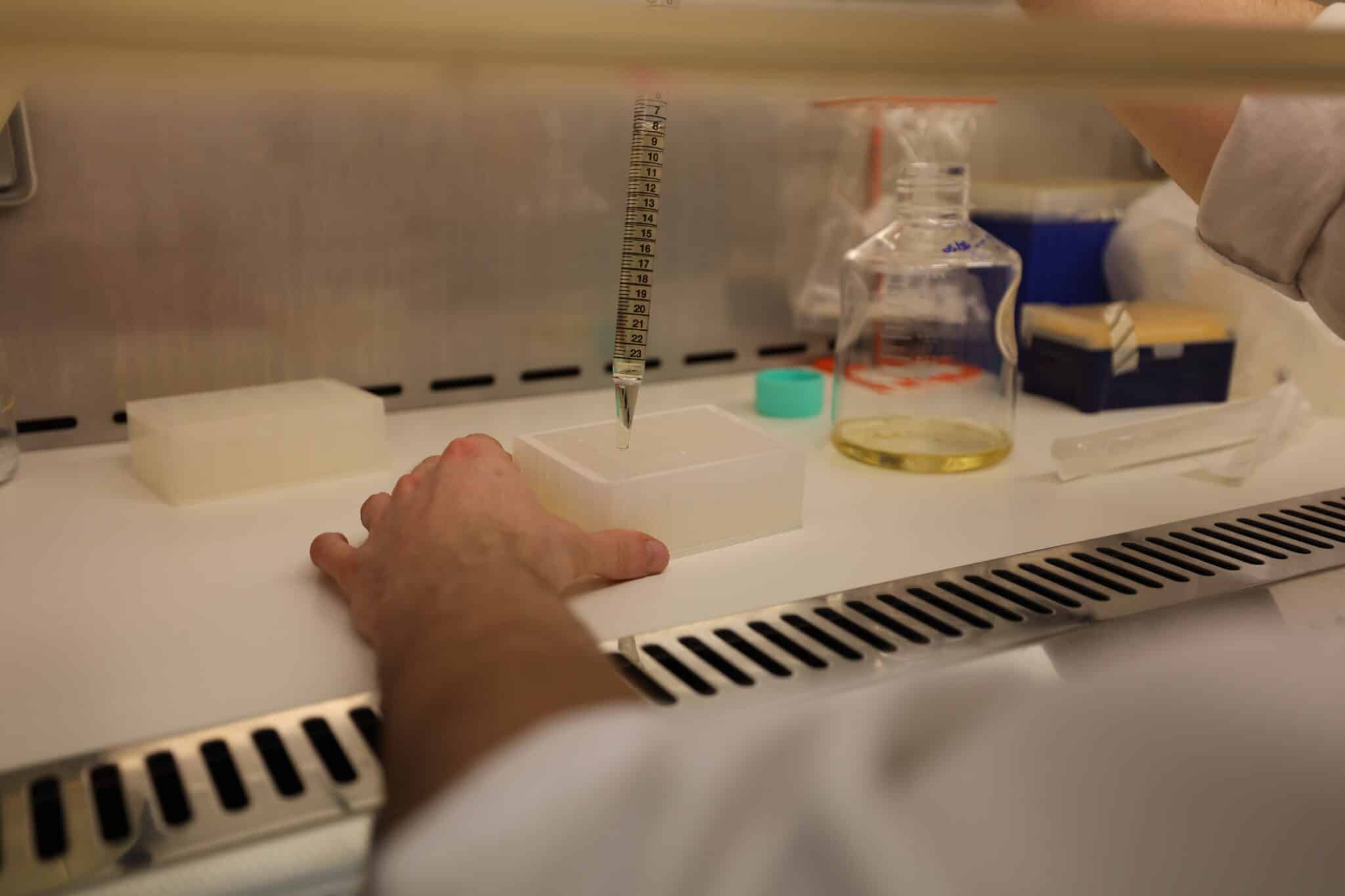 Eléphant Vert Awarded BPI Grant to Develop High-Performance ...